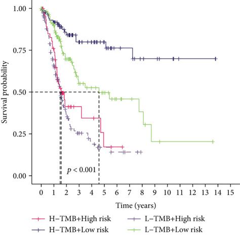 Evaluation Of Tmb Based On Tumor Specific Mutated Genes A And B Gene