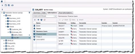 Securing Sensitive Data Using Sas Federation Server Data Masking Sas Users