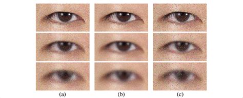 Some Examples Of Images With Added Noise Gaussian Noise A Poisson Download Scientific