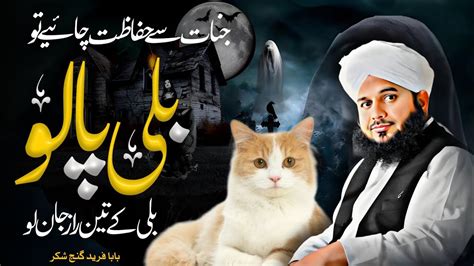 Islam Main Bili Palna Kesa Hai Bili Palo Jinnat Se Bacho New Bayan