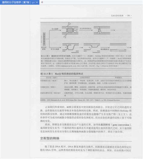 资料下载：基因的分子生物学第七版中文pdf