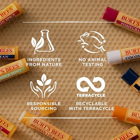 Burts Bees 100 Natural Lip Balm Honey 425g