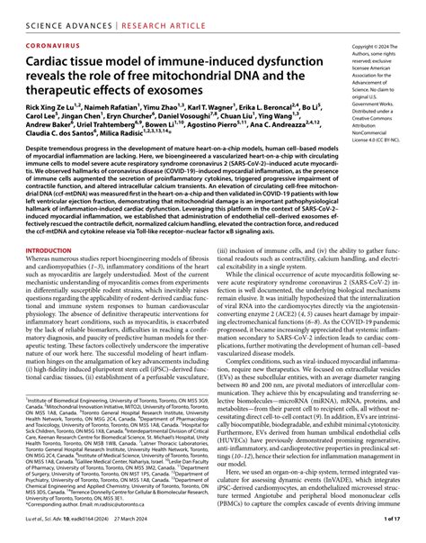 Pdf Cardiac Tissue Model Of Immune Induced Dysfunction Reveals The