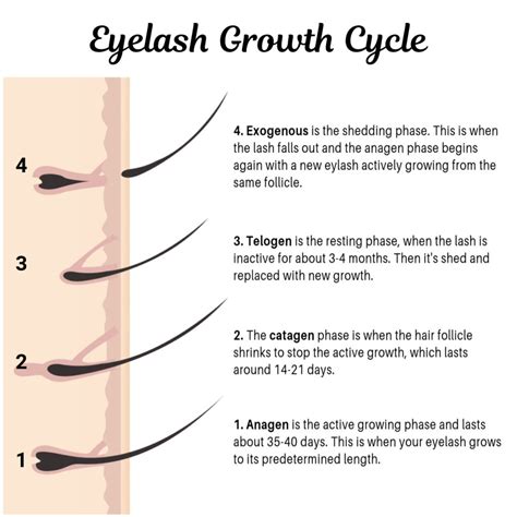 The 5 Best Most Recommended Lash Growth Serums • Ask Bronna