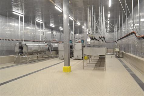 Poultry Processing Equipment Slaughterhouse Alberk Poultry