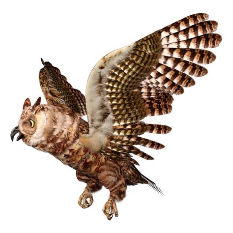 3d Rendering Great Horned Owl On White Stock Illustration
