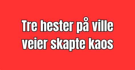 Kaos på E6 Tre hester på rømmen skapte trafikkproblemer
