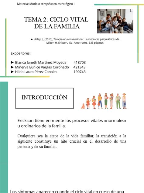Ciclo Vital De La Familia Pdf Familia Matrimonio