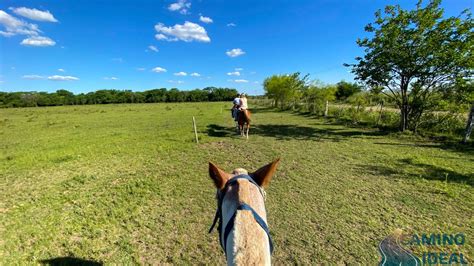 Día De CAMPO En Buenos Aires Camino Ideal
