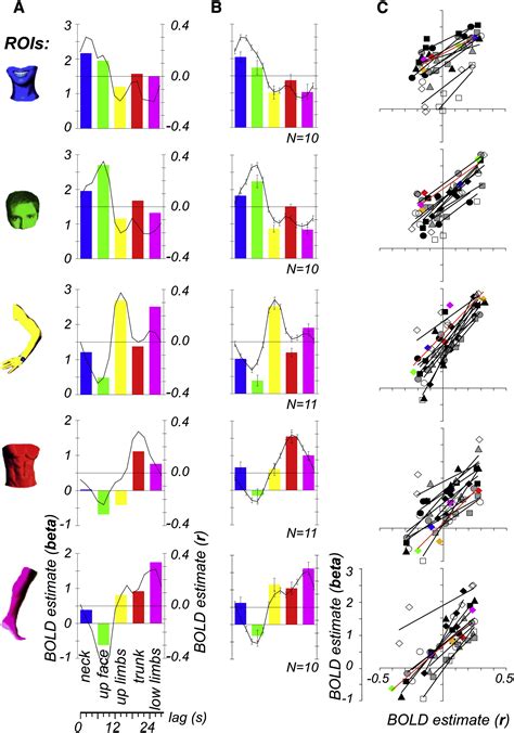Topographic Representation Of The Human Body In The Occipitotemporal Cortex Neuron