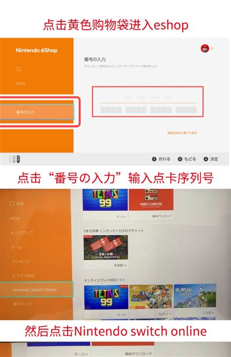 Ns任天堂日服任亏券购买10000円点充值任天堂日服点卡91cdkey