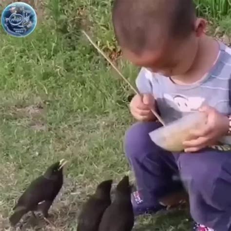 Rania Qaqish Naffa Posted On Linkedin