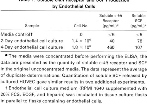 Figure 1 From Human Umbilical Vein Endothelial Cells Display High