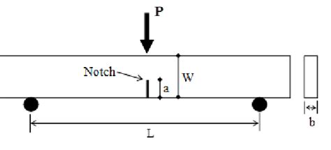 Senb Test Schematic Download Scientific Diagram