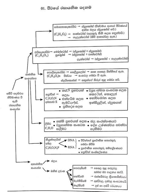 මිහින් විද්‍යාව කෙටි සටහන් 10 වසර Facebook