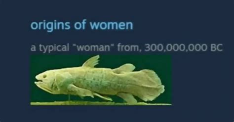 Mini Dump Before Going To Sleep Attempt 3 Album On Imgur