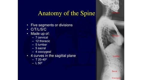 Thoracic And Lumbar Spine Fractures And Dislocations Assessment And Classification Jan 02 2020 Pptx
