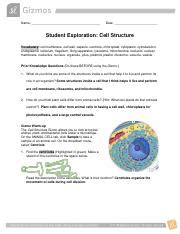 Understanding Cell Structure Key Organelles And Functions Course Hero