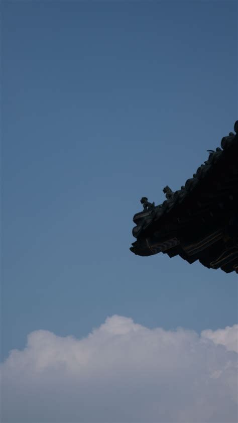 无尽夏 蓝紫色的夏日无尽 墨溪凝 富士胶片影赛 fujifilm
