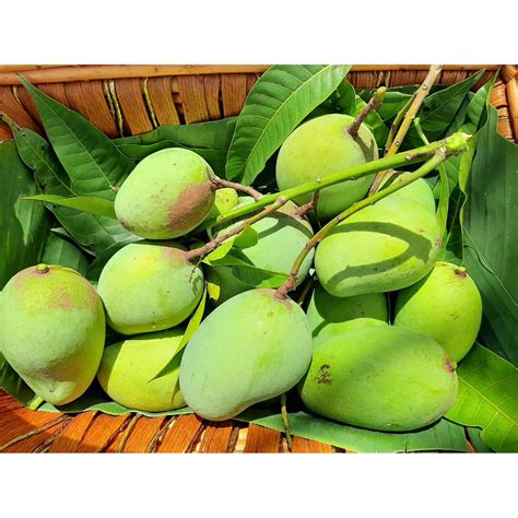 เยลลี่ผลไม้ ขายส่ง กิโล มะม่วง สตอเบอรี่ ส้ม Kodang Eat Thaipick