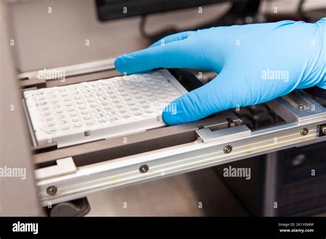 Scientist Loading Samples To A Rt Pcr Thermal Cycler At The Laboratory