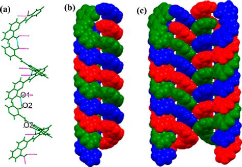 A Depiction Of Various H Bonding Interactions Exhibited By S1a B