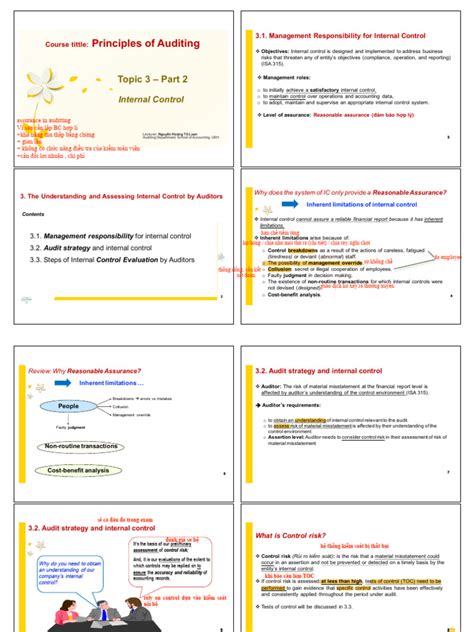 Topic 3 2 Internal Control System Pdf