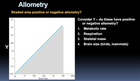 Solved Allometryshaded Area Positive Or Negative
