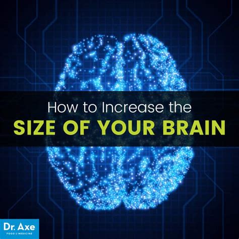 10 Things Literally Increase The Size Of Your Brain Lifescripts