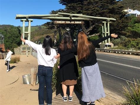 기간한정할인 그레이트 오션로드 투어 지그재그투어 호주 멜버른