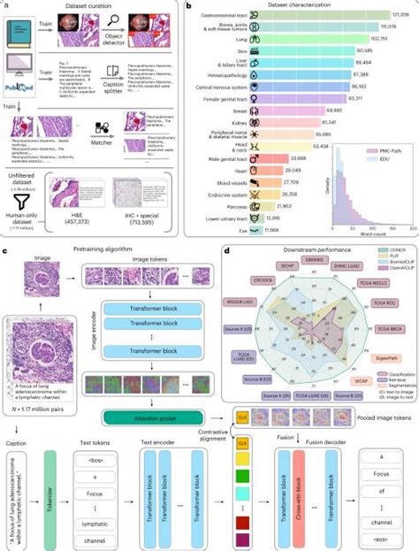 Dr Suchitra Kataria On Linkedin A Visual Language Foundation Model For Computational Pathology