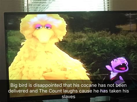 Pin By Chris Martin On Bert And Ernie Sesame Street Memes Big Bird Funny Images