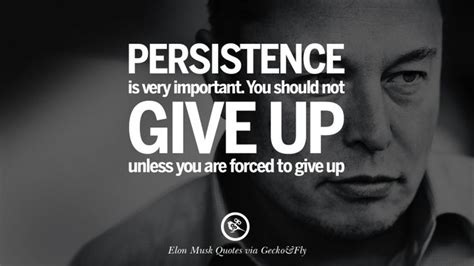 20 Elon Musk Quotes On Business Risk And The Future Elon Musk Quotes