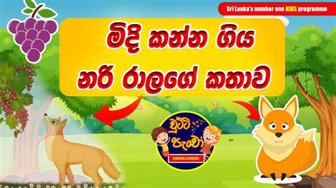 නරියා සහ මිදි වැල Nariya Saha Midi Wala Episode 18 Samanala Danuma Youtube