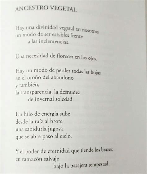 Pin En Rolando Toro