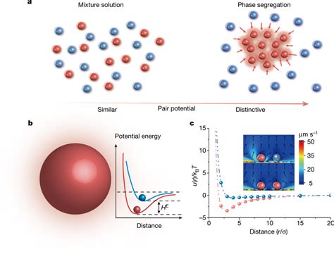 schematic of phase segregation in colloidal mixture a illustration of