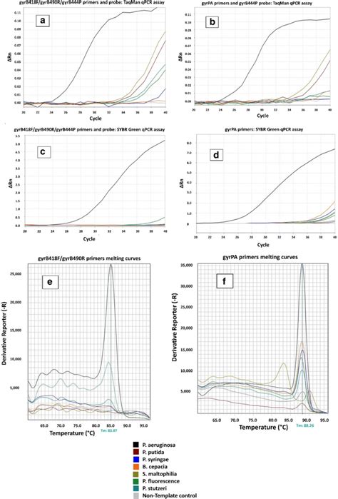 Amplification And Melting Curves Of Qpcr Assays For Specificity