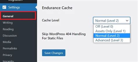 Endurance Cache Levels Explained Stonehawk Digital