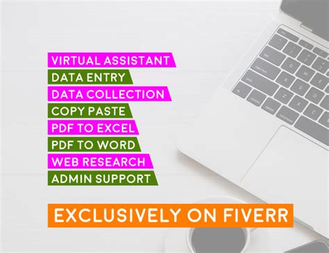 do data entry virtual assistant copy paste pdf to excel word and web