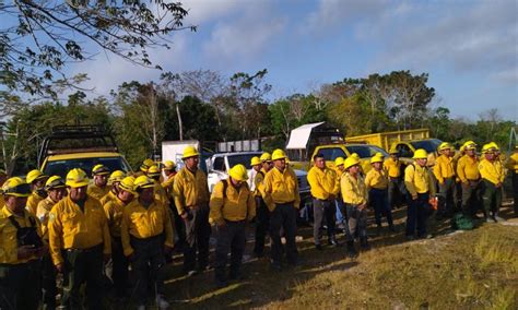 Brigadistas Combaten Incendios En Quintana Roo 5topoder
