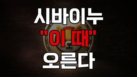 시바이누 정답 공개 하겠습니다 코인추천 Youtube