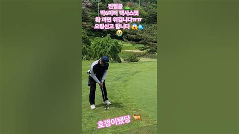 개🐕꿀팁 까면뭐다☆호갱이됐당🐳😭⛳️ 골프 골프존 스크린골프 nx 골프존cc 필드 필드골프 필드레슨 웨지 퍼터 아이언비거리 골프