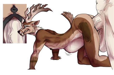 Rule 34 Absurd Res Anthro Antlers Balls Belly Belly Markings Big