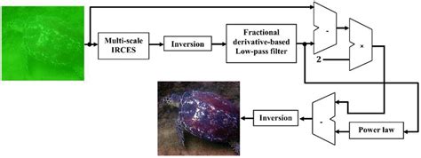 Fractional Multiscale Irces Algorithm For Enhancing Hazy And Underwater