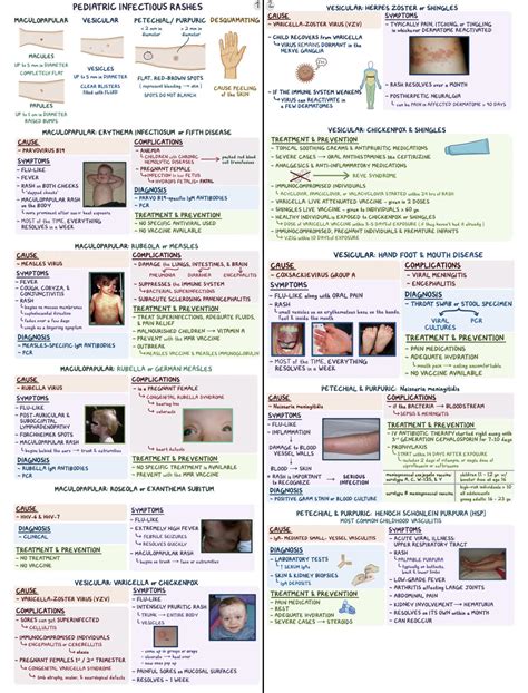 Solution Pediatric Infectious Rashes Clinical Reasoning Studypool