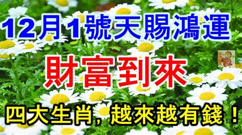 12月1號天賜鴻運，財富到來的四大生肖，越來越有錢！ Peekme