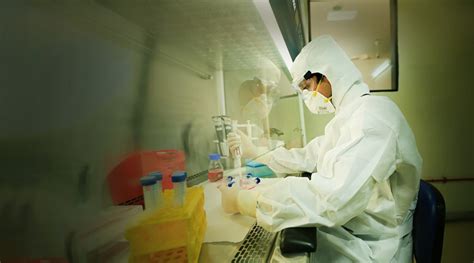 As Paranoia Goes Viral In Govt Health Circles Testing Labs Face The Heat The Wire Science