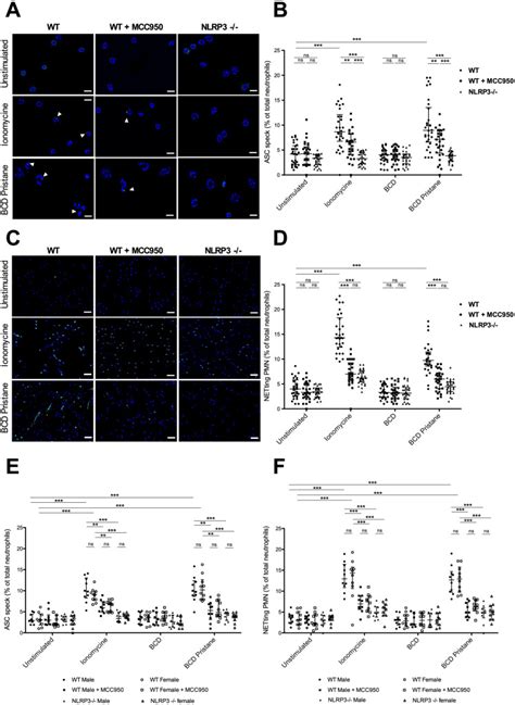Sex Specific Nlrp3 Activation In Neutrophils Promotes Neutrophil