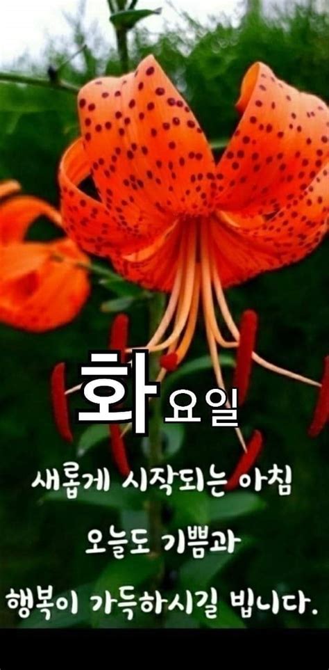 좋은글 힐링영상 다함께소통방 행복 스위치 좋은글 Daum 카페