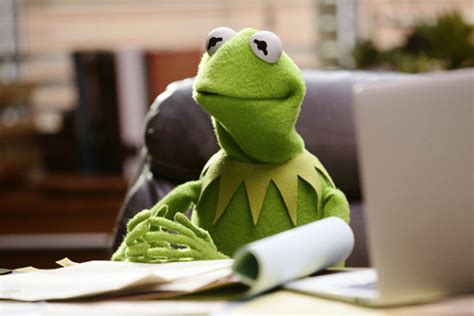 Mom Turns Herself Into Evil Kermit The Frog Meme Photo